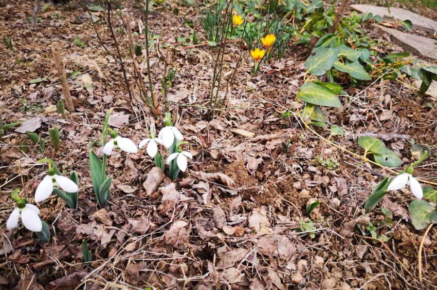 Слънчево и ветровито в неделя - Виа Понтика