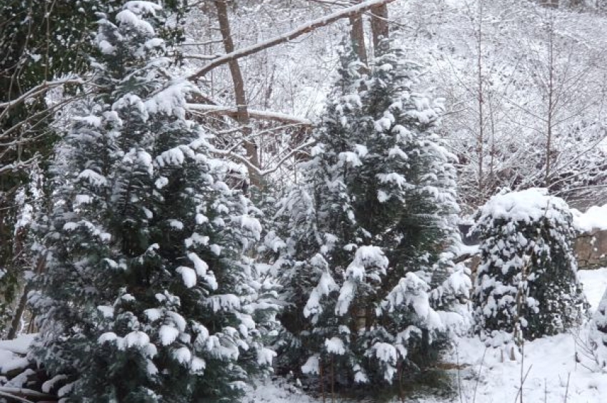 Студено време в събота, нахлува още студен въздух - Виа Понтика